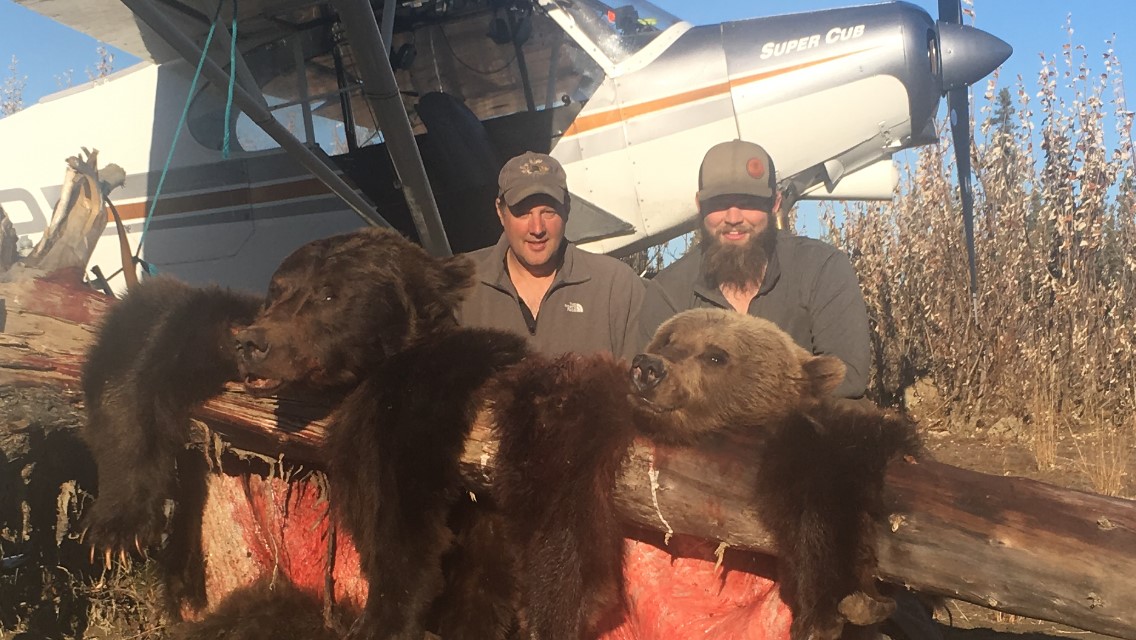 Alaska Wilderness Charters & Guiding - Grizzly Bear Gallery