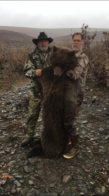 Alaska Wilderness Charters & Guiding - Grizzly Bear Gallery