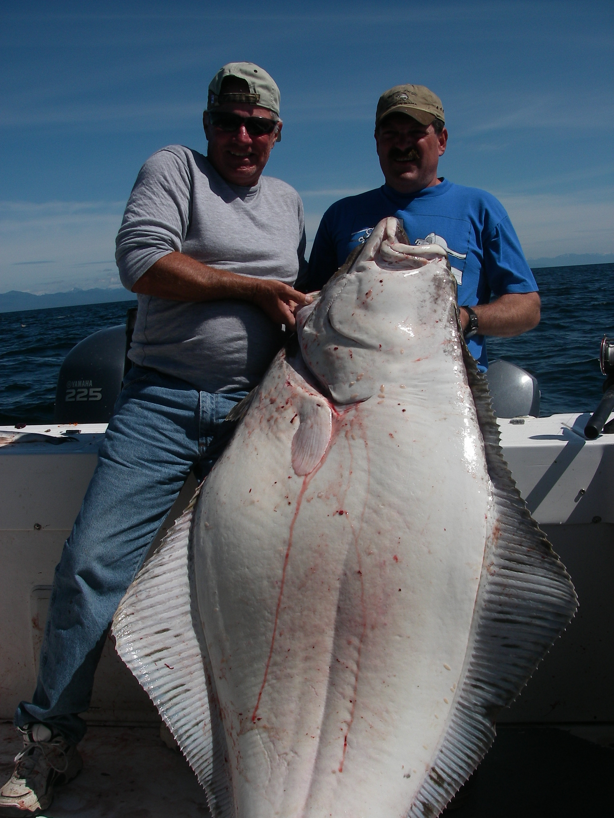 Alaska Wilderness Charters & Guiding - Ketchikan Salmon & Halibut Fishing